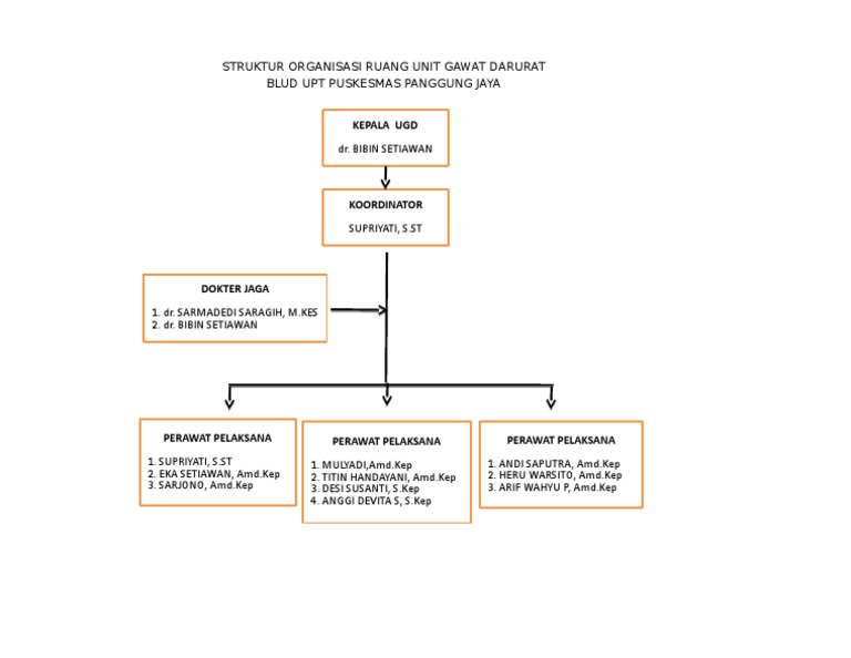Struktur Organisasi Ugd | PDF
