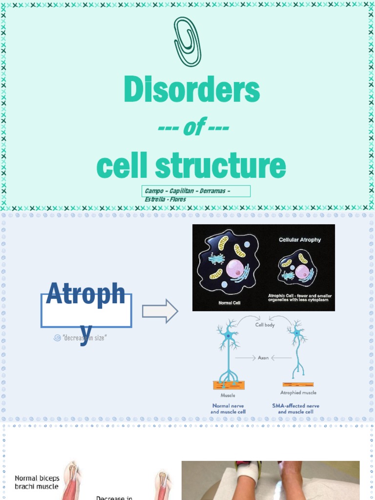 Disorders Cell Structure: Campo - Capilitan - Derramas - Estrella ...