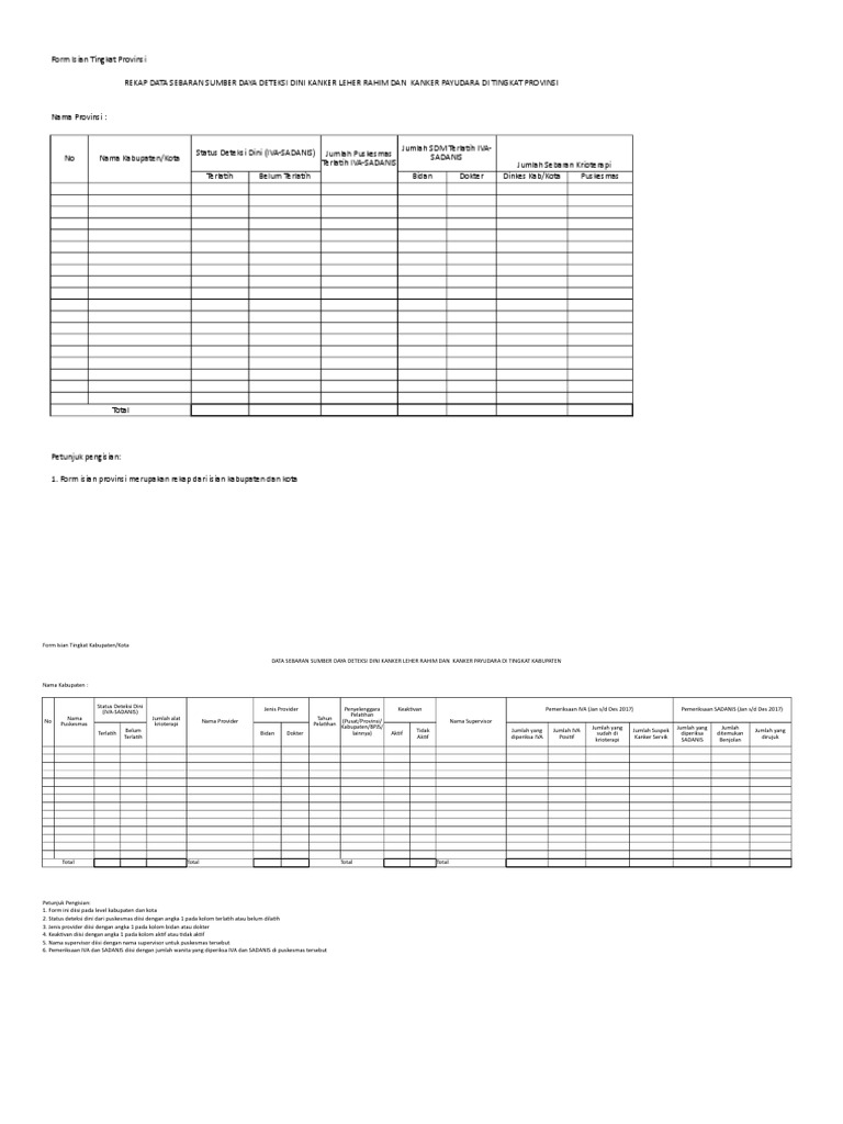 Form Laporan Puskesmas IVA SADANIS | PDF