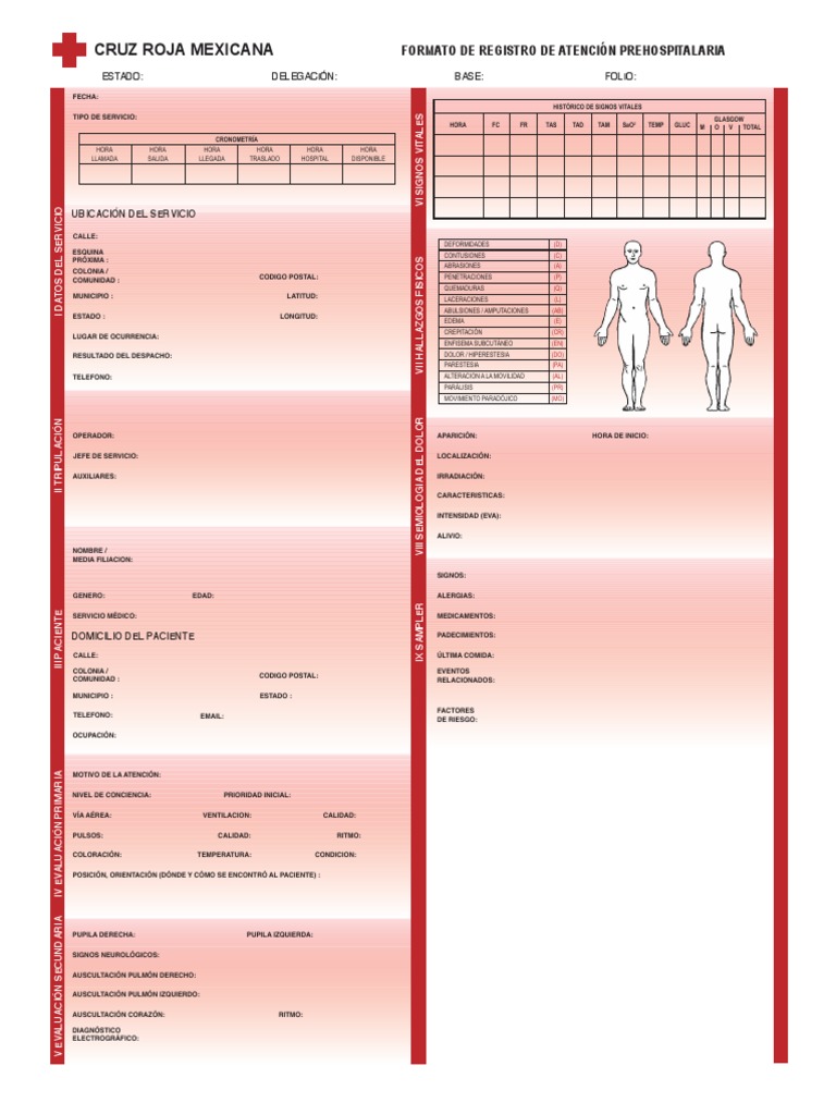 Frap | Parto | El embarazo