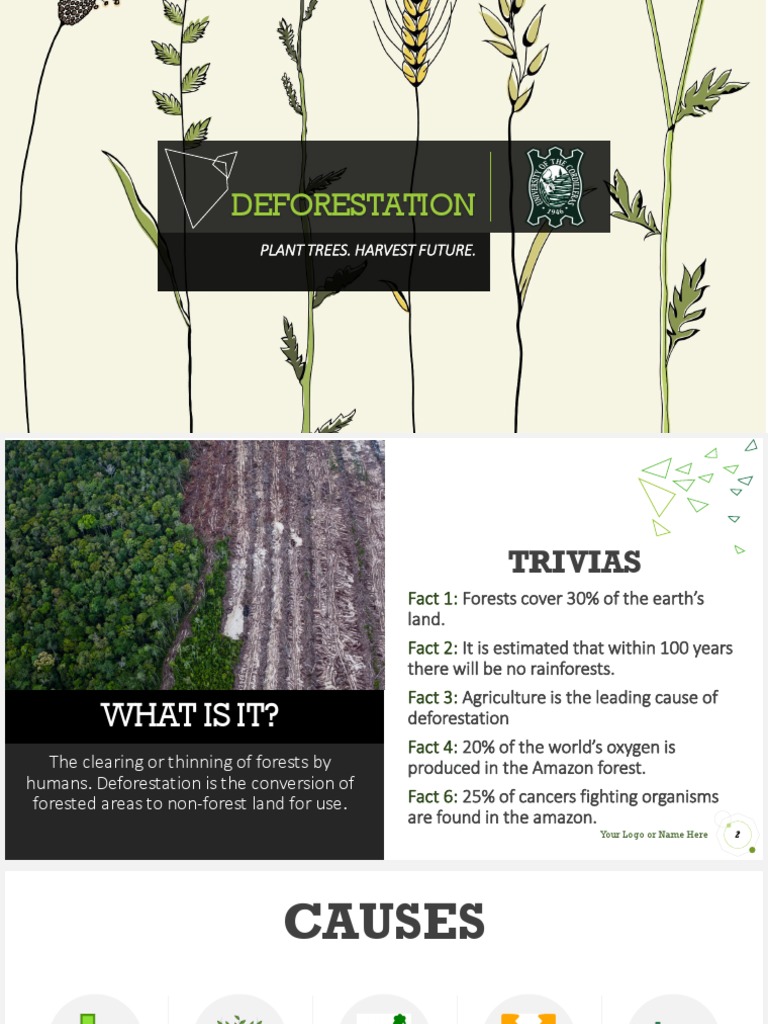 Deforestation: Understanding the Causes, Effects, and Prevention ...
