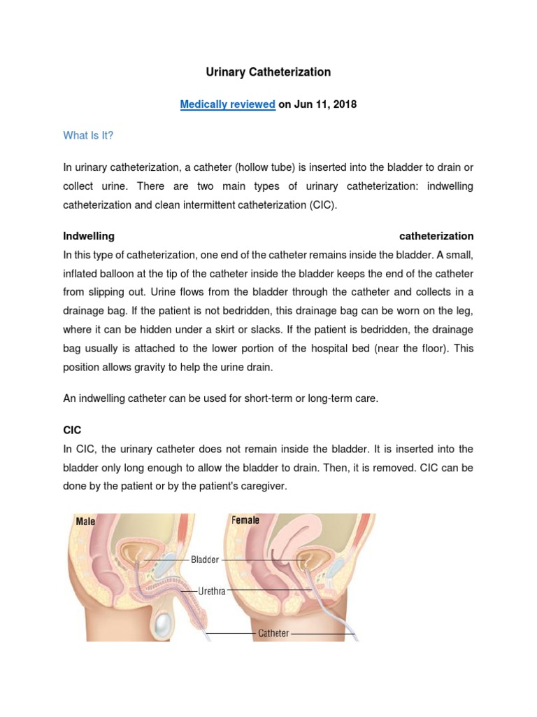 Urinary Catheterization | PDF | Urinary Tract Infection | Catheter