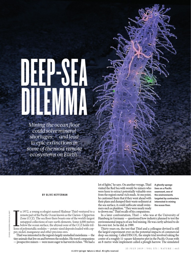 Deep-Sea Dilemma by Olive Heffernan | PDF | Sea | Hydrothermal Vent