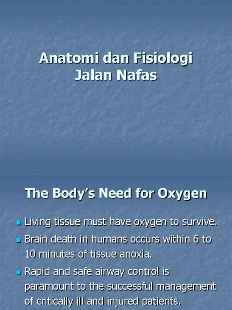 Anatomi Dan Fisiologi Jalan Nafas | PDF | Respiratory Tract | Lung
