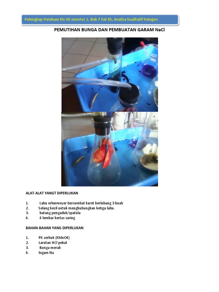 Eksperimen Labu Bersumbat dan Garam NaCl | PDF