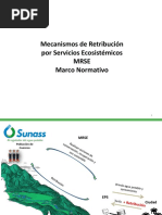 Definicion Vegetación Riparia | PDF | Zona ribereña | Inundar