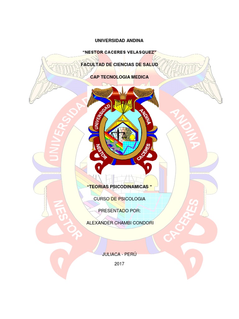 Caratula Uancv | PDF