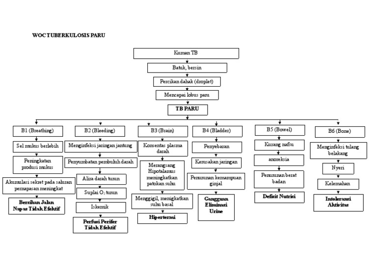 Woc Tuberkulosis Paru | PDF