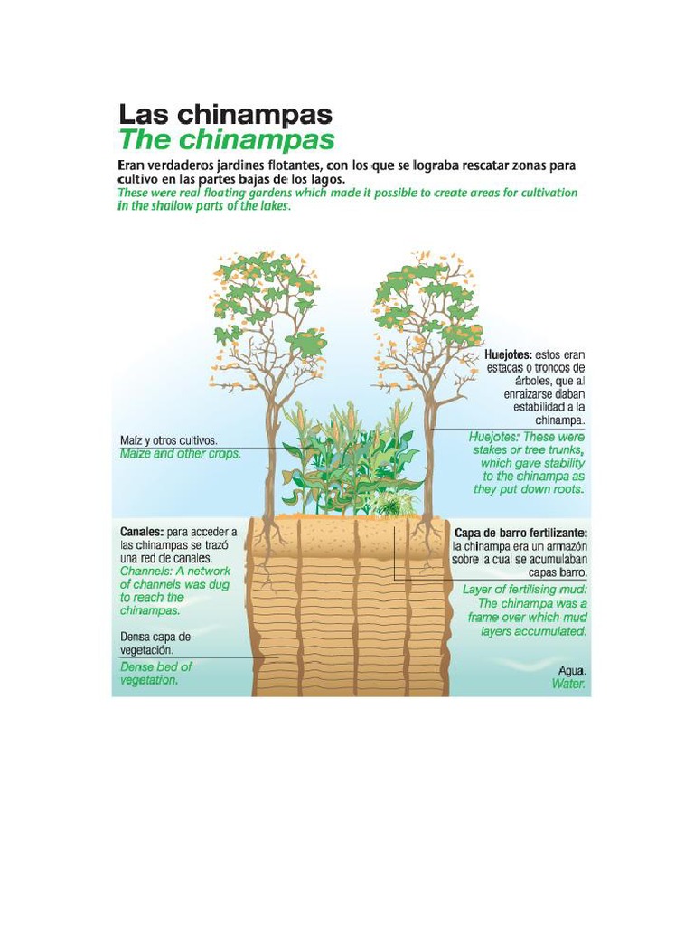 Estructura de las chinampas