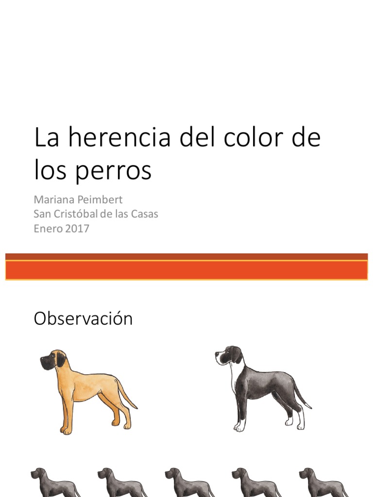Marianapeimbert LaHerenciaDelColorDeLosPerros | PDF | Herencia | Gene