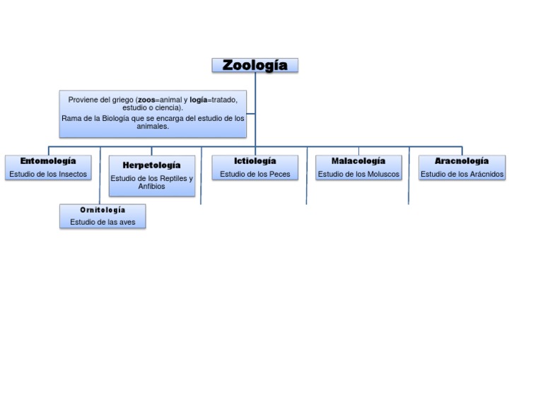 Zoo Map | PDF | Zoología | Organismos