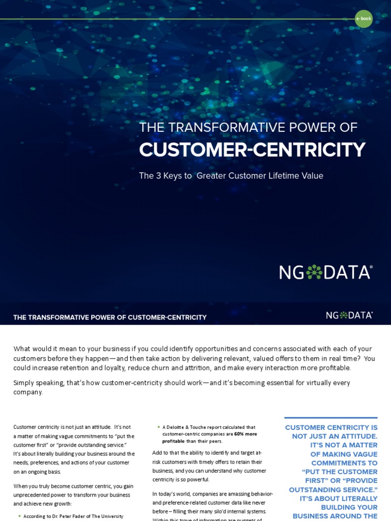 Customer Centricity | PDF | Analytics | Big Data
