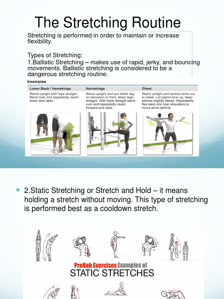 The Stretching Routine | PDF | Self-Improvement | Wellness