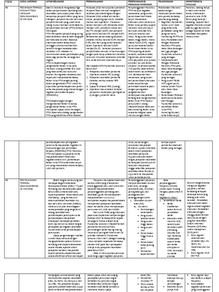 Contoh Laporan UKM | PDF