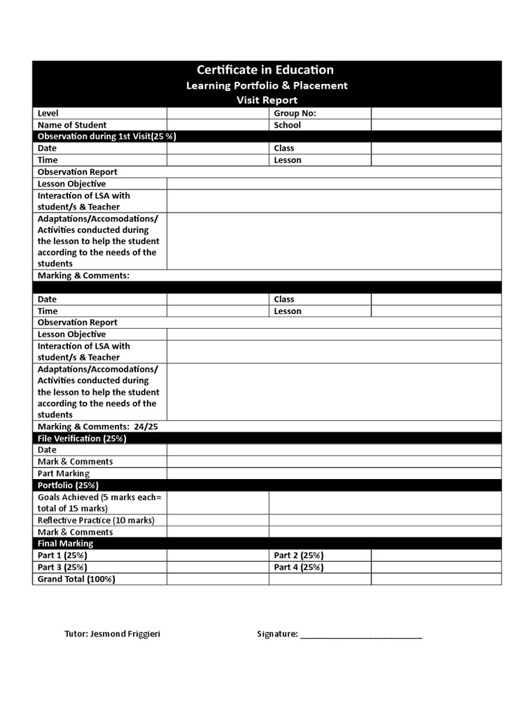 Certificate in Education: Learning Portfolio & Placement Visit Report | PDF