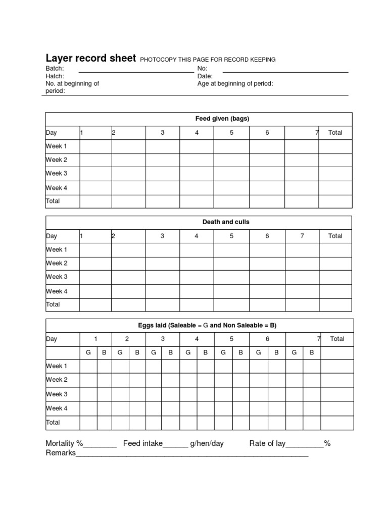 Layer Chicken Record Keeping Sheet | PDF