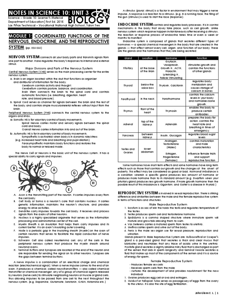 Biology: Notes in Science 10: Unit 3 | PDF | Rna | Gene