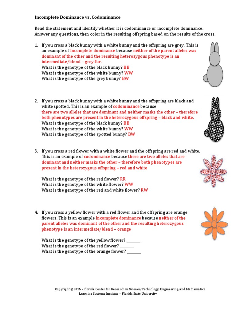 Incomplete Dominance Vs Co Dominance Key | PDF | Dominance (Genetics ...