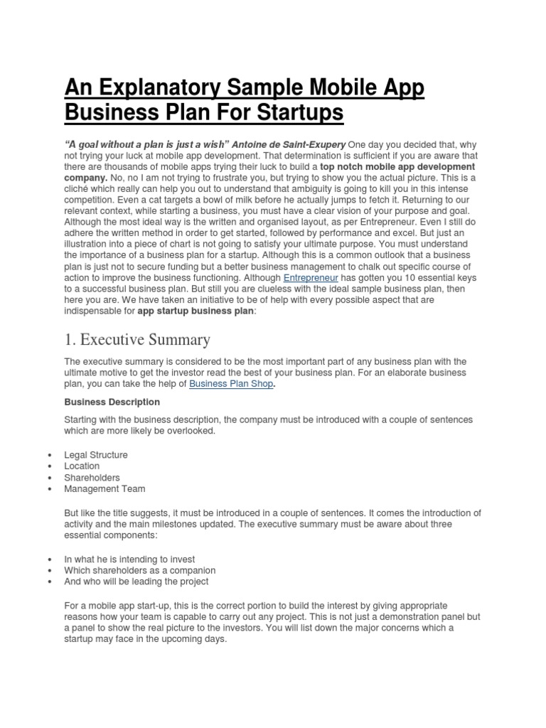 An Explanatory Sample Mobile App Business Plan For Startups | PDF | Competition | Target Audience