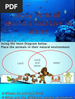 Grade 4 Lesson Plan: Animal Habitats | PDF | Communication | Teachers