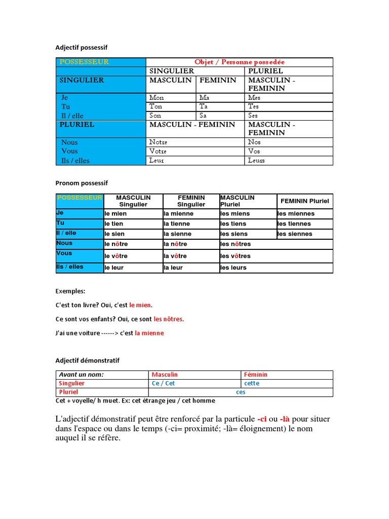 Adjectifs Et Pronoms Possessifs Et Démonstratifs | PDF | Genre ...