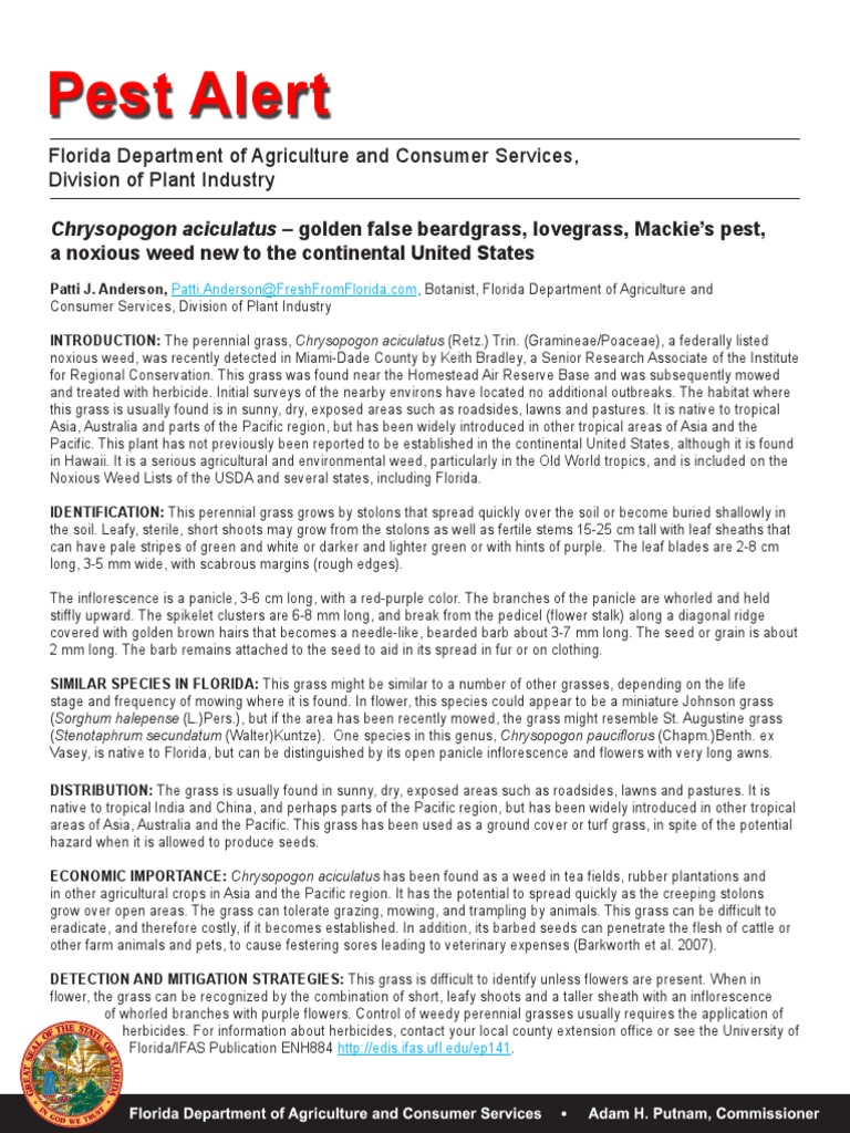 Pest Alert: Florida Department of Agriculture and Consumer Services ...