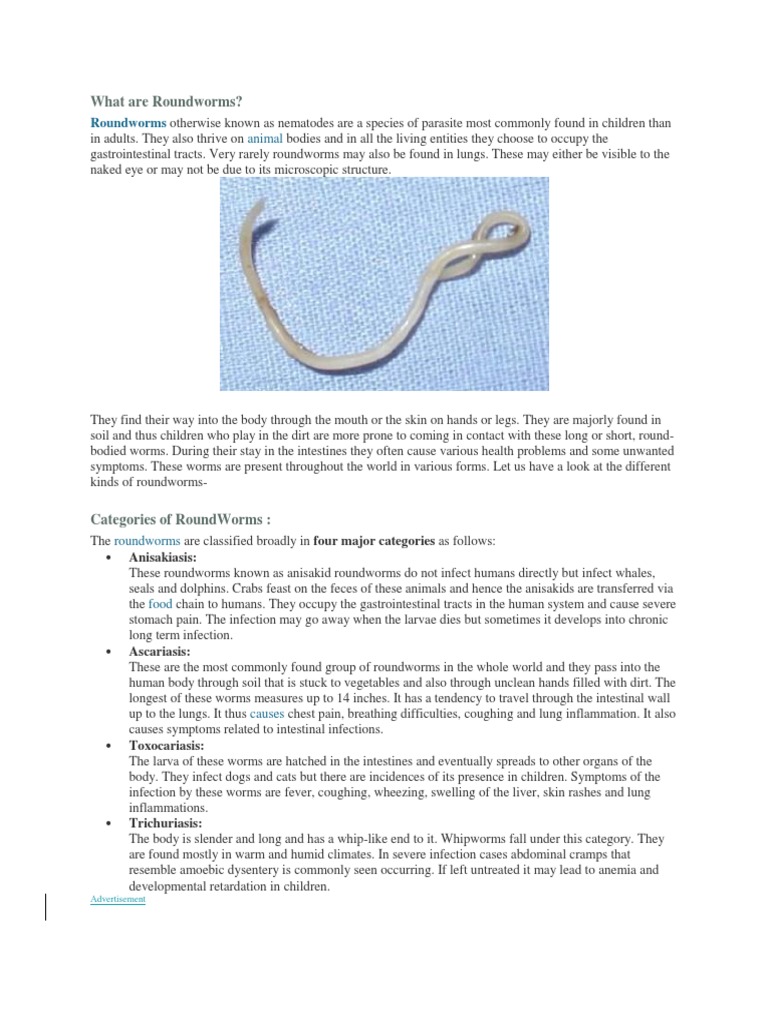 Kinds 2 Roundworms | PDF | Nematode | Gastrointestinal Tract