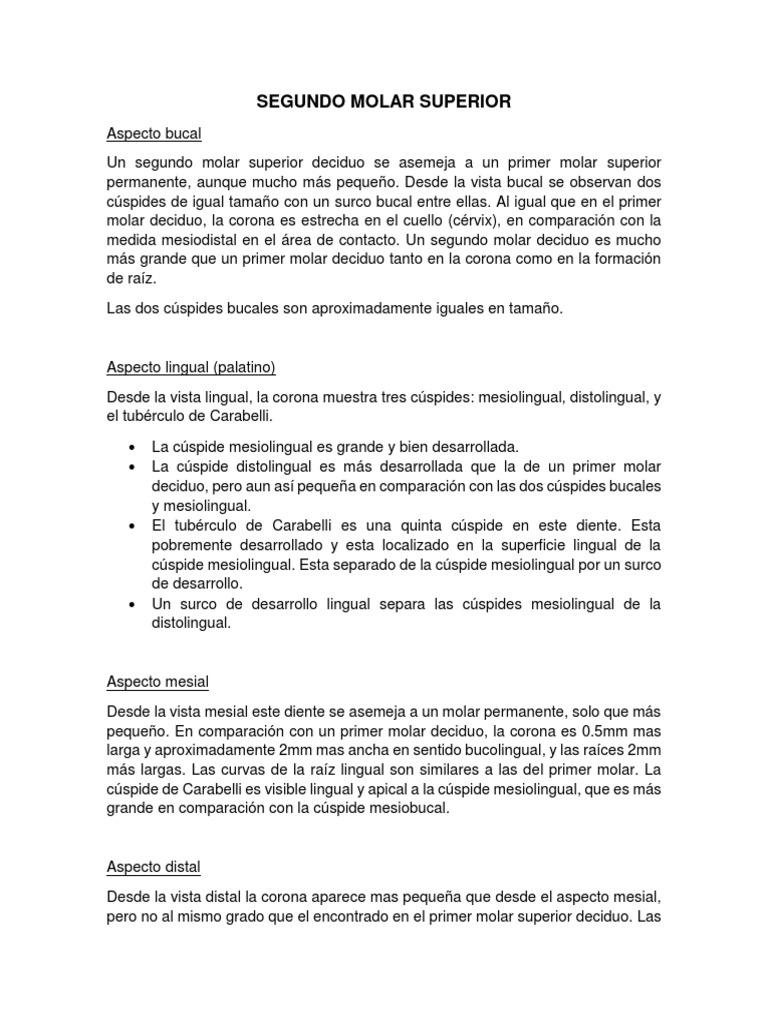 Anatomía del Segundo Molar Deciduo | PDF | Naturaleza