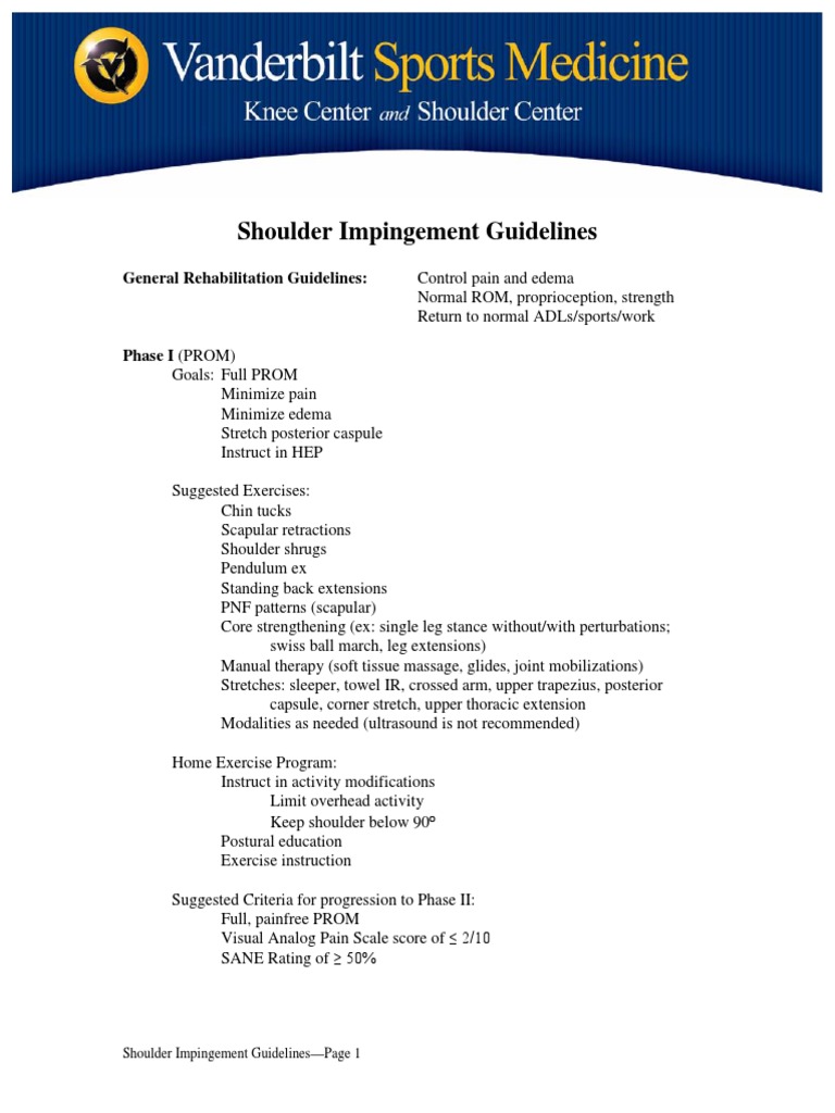 Shoulder Impingement Rehab Protocol | PDF | Shoulder | Musculoskeletal ...