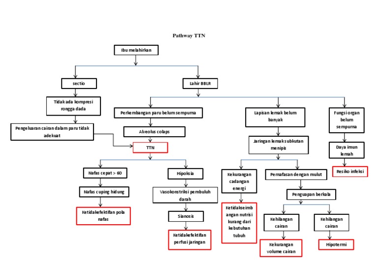Pathway Diagnosa TTN pada Bayi Baru Lahir | PDF
