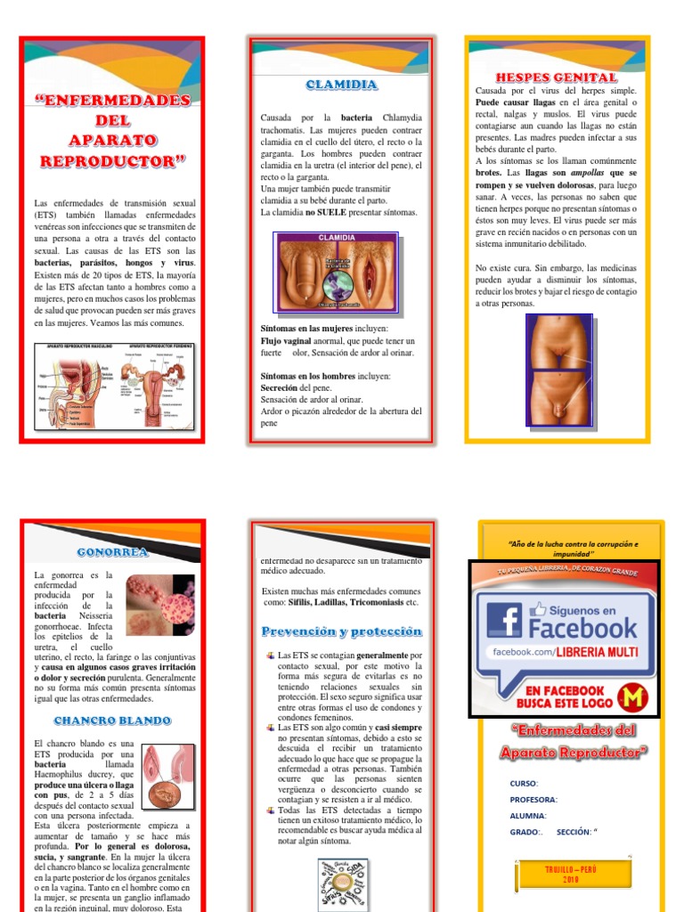 Triptico Enfermedades Aparato Reproductor | PDF | Infección transmitida sexualmente | Salud sexual