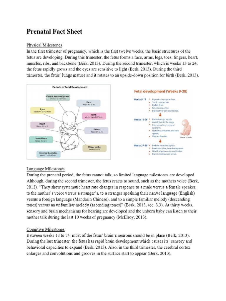 Milestones in Prenatal Development | PDF | Fetus | Prenatal Development