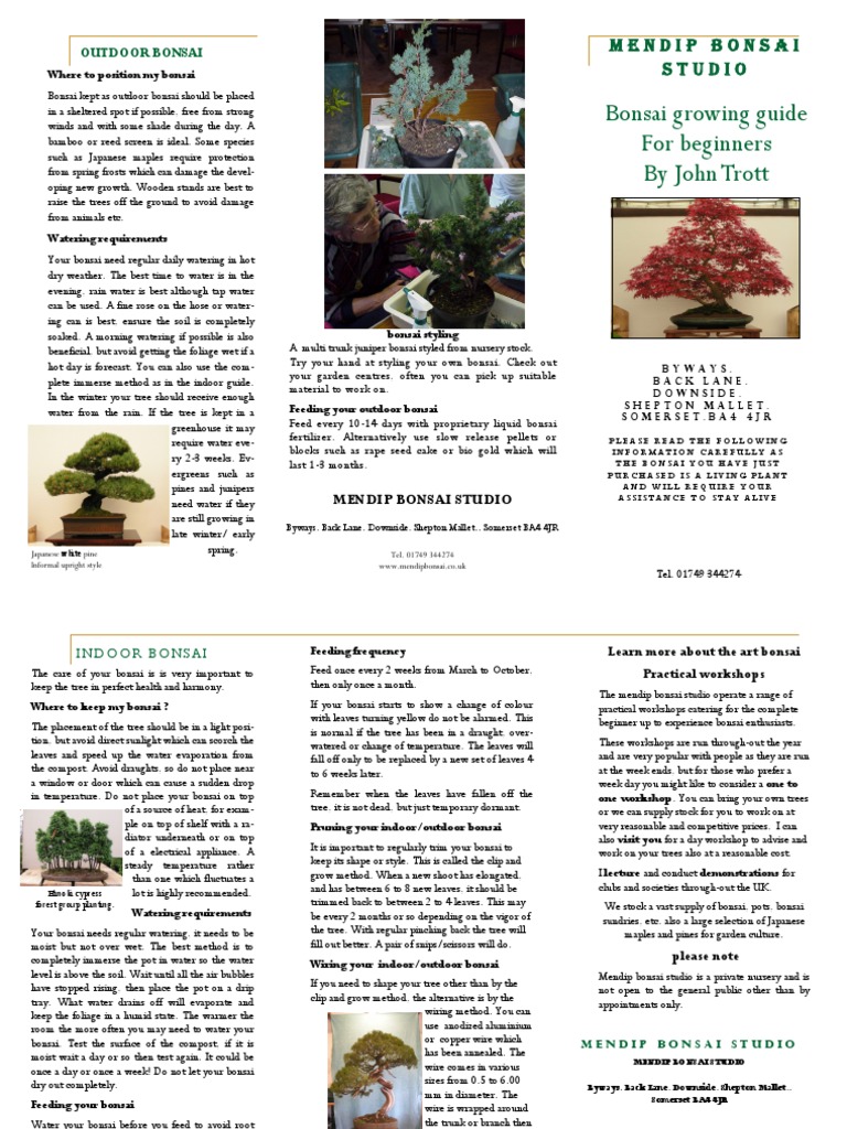 Bonsai Growing Beginners Guide | PDF | Bonsai | Trees