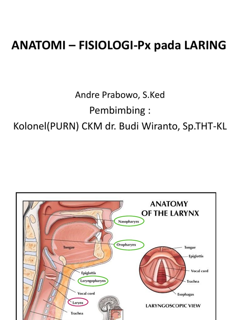Anatomi dan Penyakit Laring | PDF