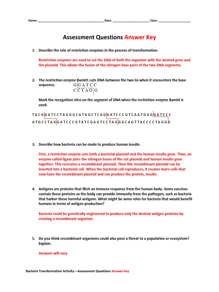 Bacterial Transformation and Antigen Production | PDF