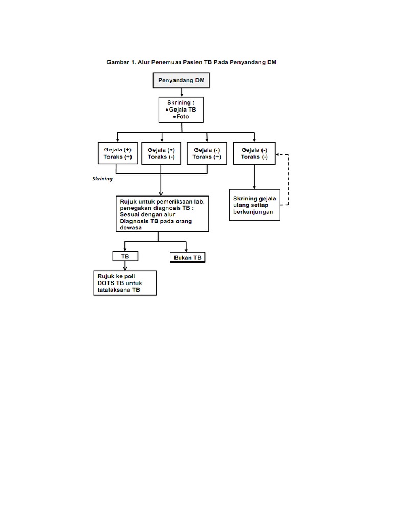 Alur Pasien TB DM | PDF