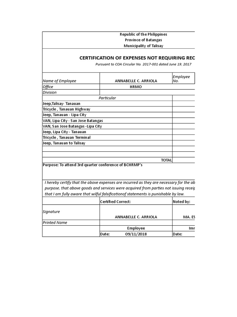 Certification of Expenses Not Requiring Receipts | PDF | Government Information | Social ...
