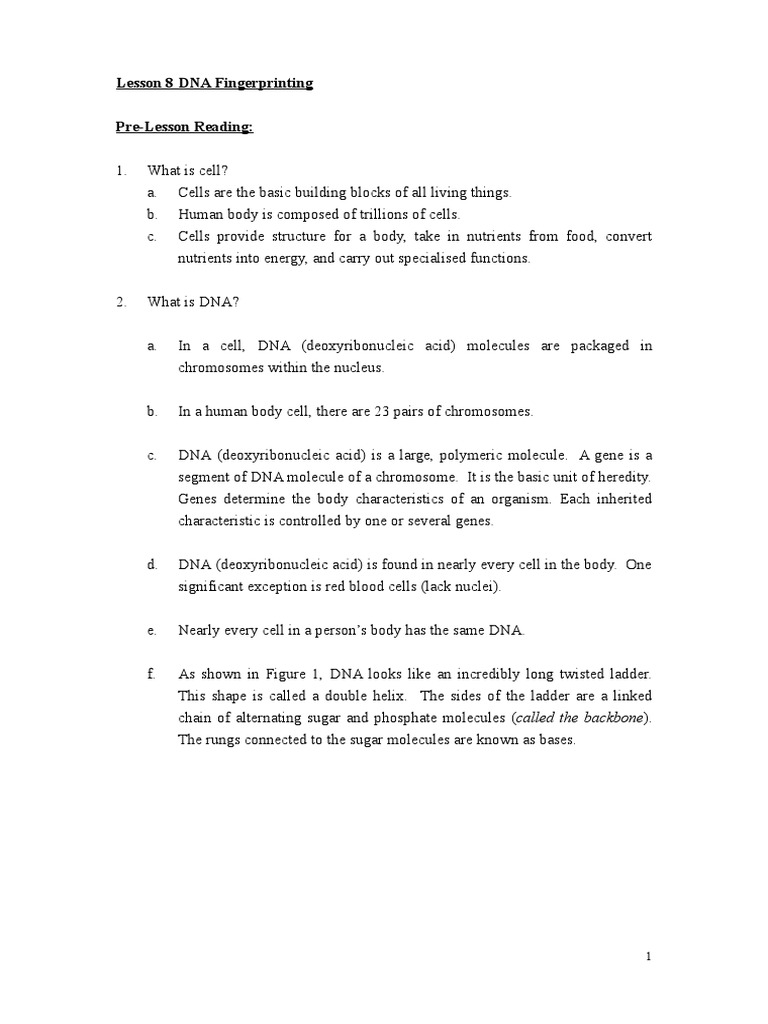 5 Lesson8 Worksheets WithAnswers | PDF | Dna Profiling | Dna