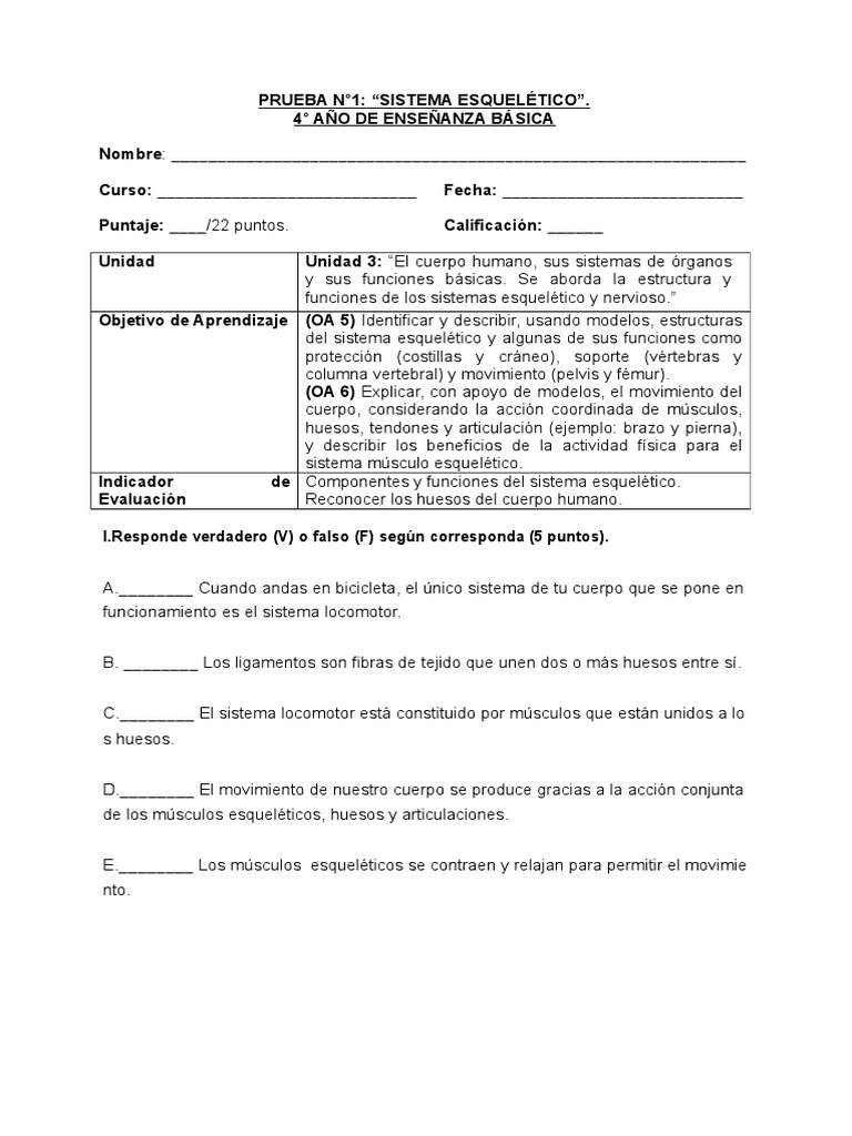Prueba - 1 - Sistema - Esqueletico 4° | PDF | Músculo | Sistema ...