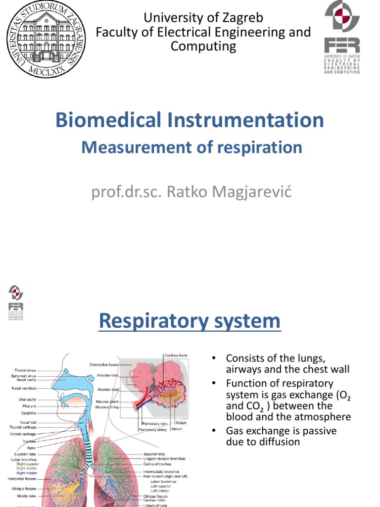 Respiratory Measurement Techniques | PDF | Exhalation | Respiratory System