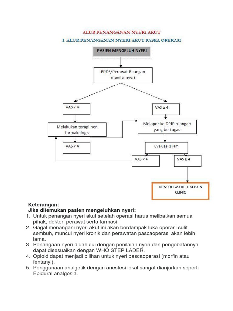 Alur Manajemen Nyeri | PDF