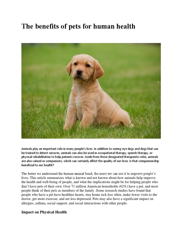 The Benefits of Pets For Human Health | PDF | Pet | Social Support