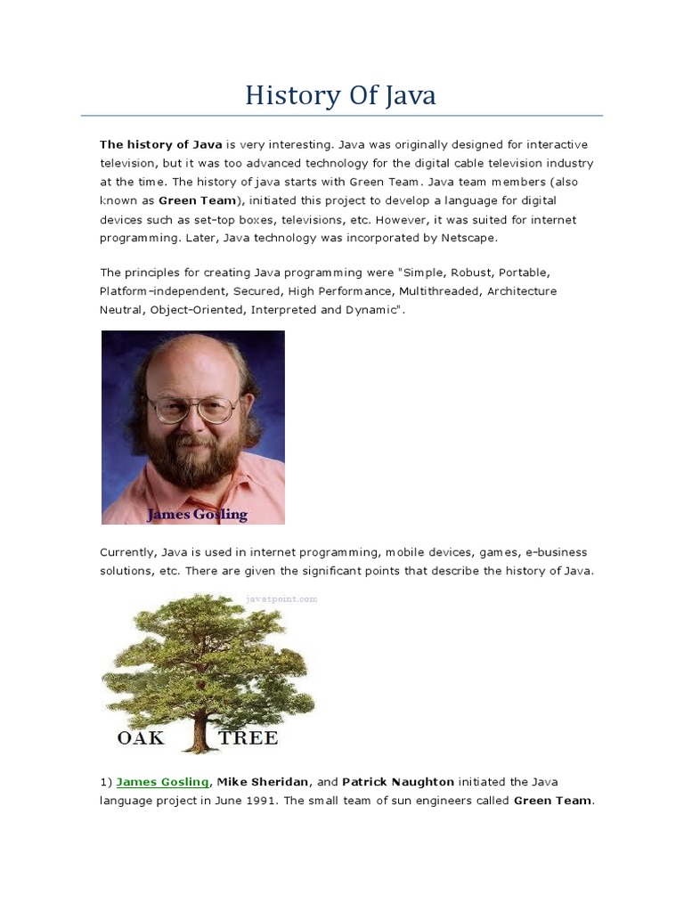 History of Java | PDF | Java (Programming Language) | C++