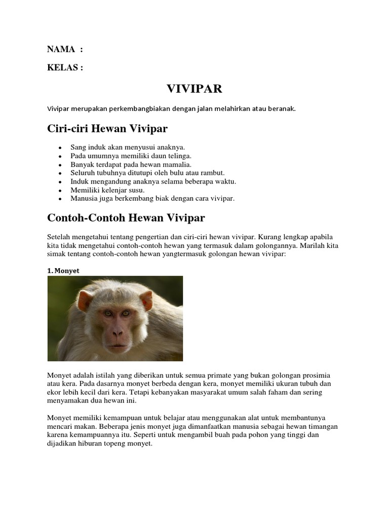 Ciri dan Contoh Hewan Vivipar | PDF | Griya & Taman | Kesehatan Holistik