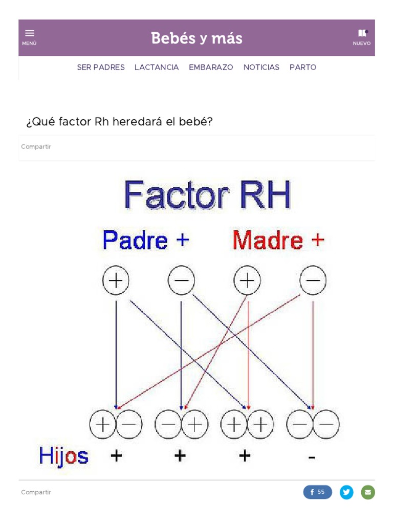 ¿Qué Factor RH Heredará El Bebé | PDF | Histología | Inmunología