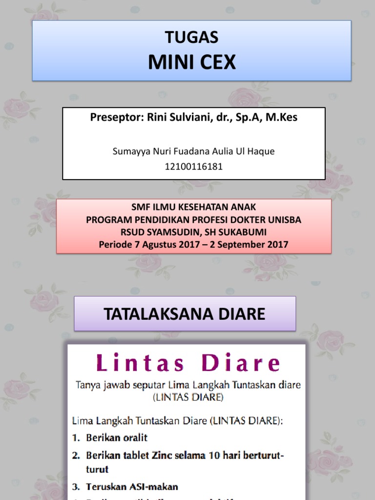 PR Lintas Diare | PDF