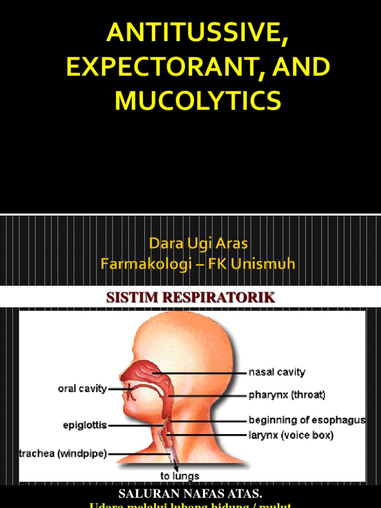Anti Tussive, Mucolytics, and Expectorant | PDF | Bronchitis ...