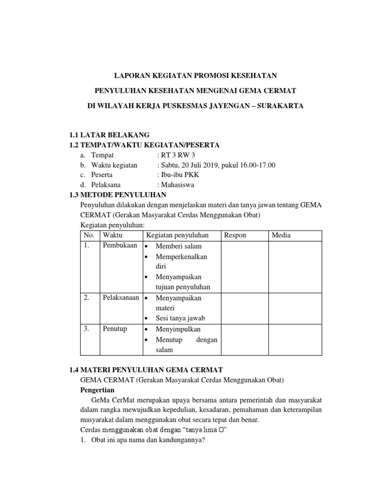 Laporan Promkes | PDF