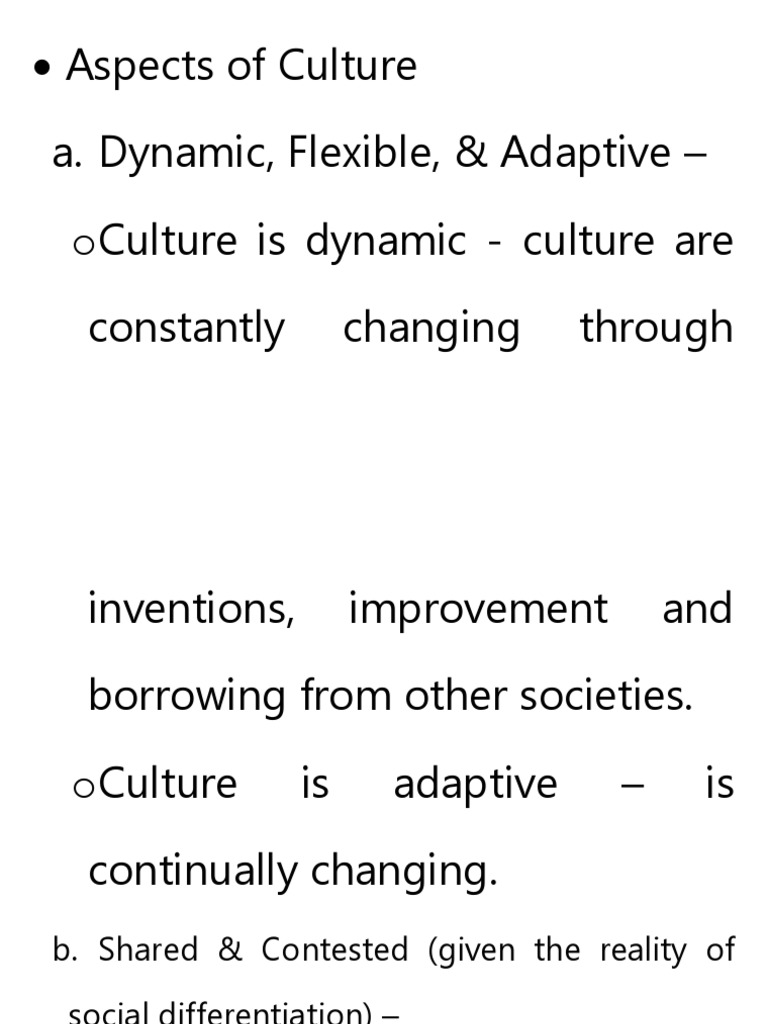 Key Aspects of Cultural Dynamics | PDF | Career & Growth | Social Science