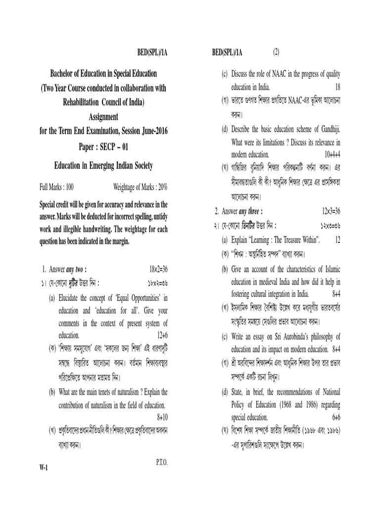 BEd Special Assignment | PDF | English Language | Educational Psychology